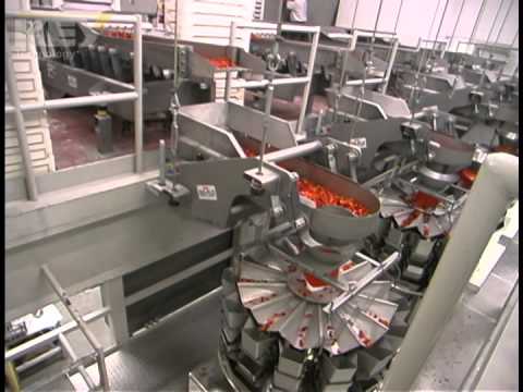 Gummy Candy on an Iso-Flo® Scale Feed Shaker - YouTube