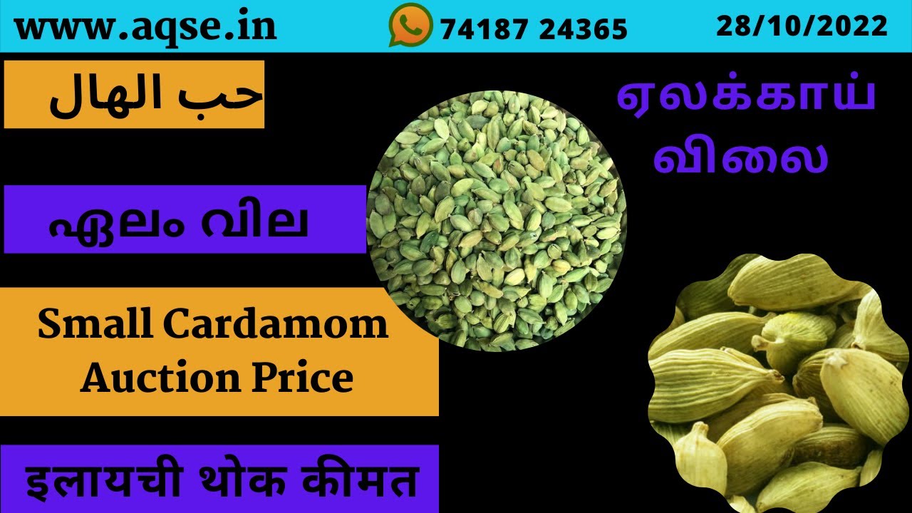 Small Cardamom Auction Price Today | حب الهال | इलायची थोक कीमत ...