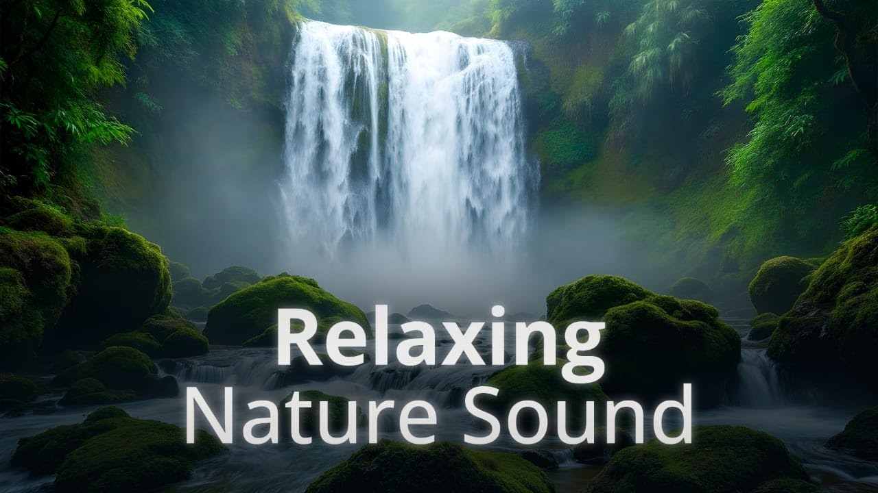 Relaxing Forest & River Sounds | Peaceful Nature Music for Meditation ...