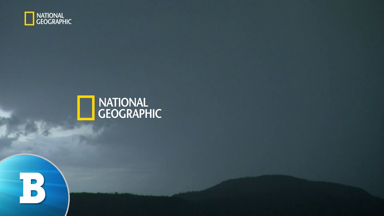 Raccolta bumper National Geographic - YouTube