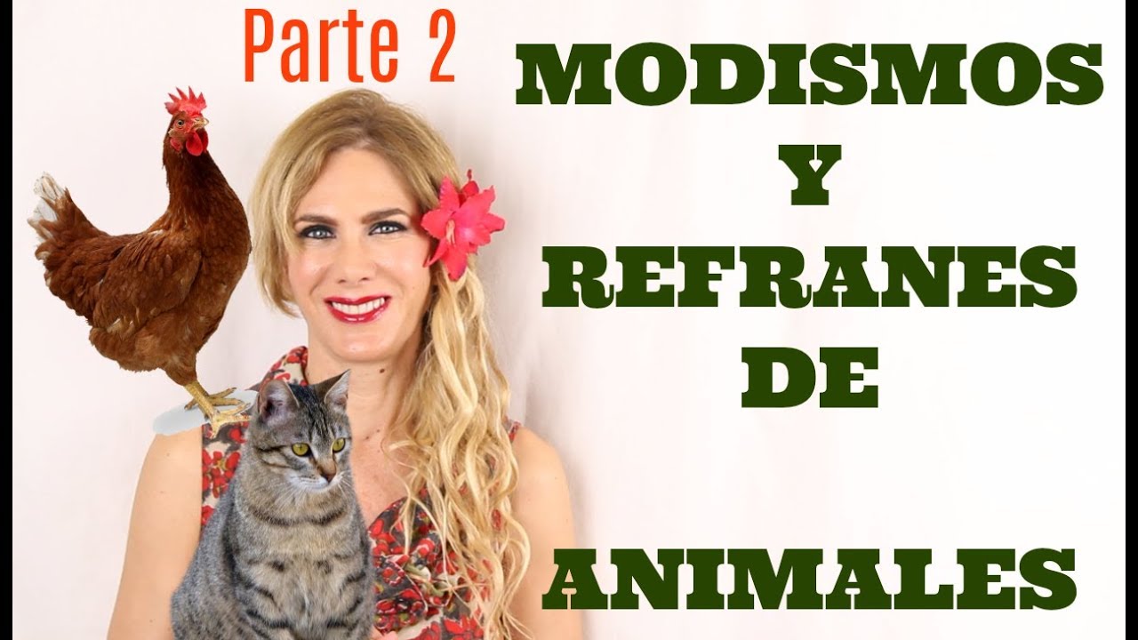 Modismos y refranes de animales. Parte 2. Idioms with animals in ...