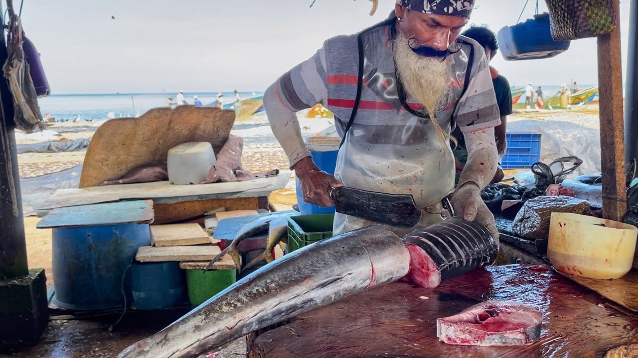 AMAZING !!! Big Thora Fish Cutting Skills🫣😲@cuttingmaster-c8w Fersh ...