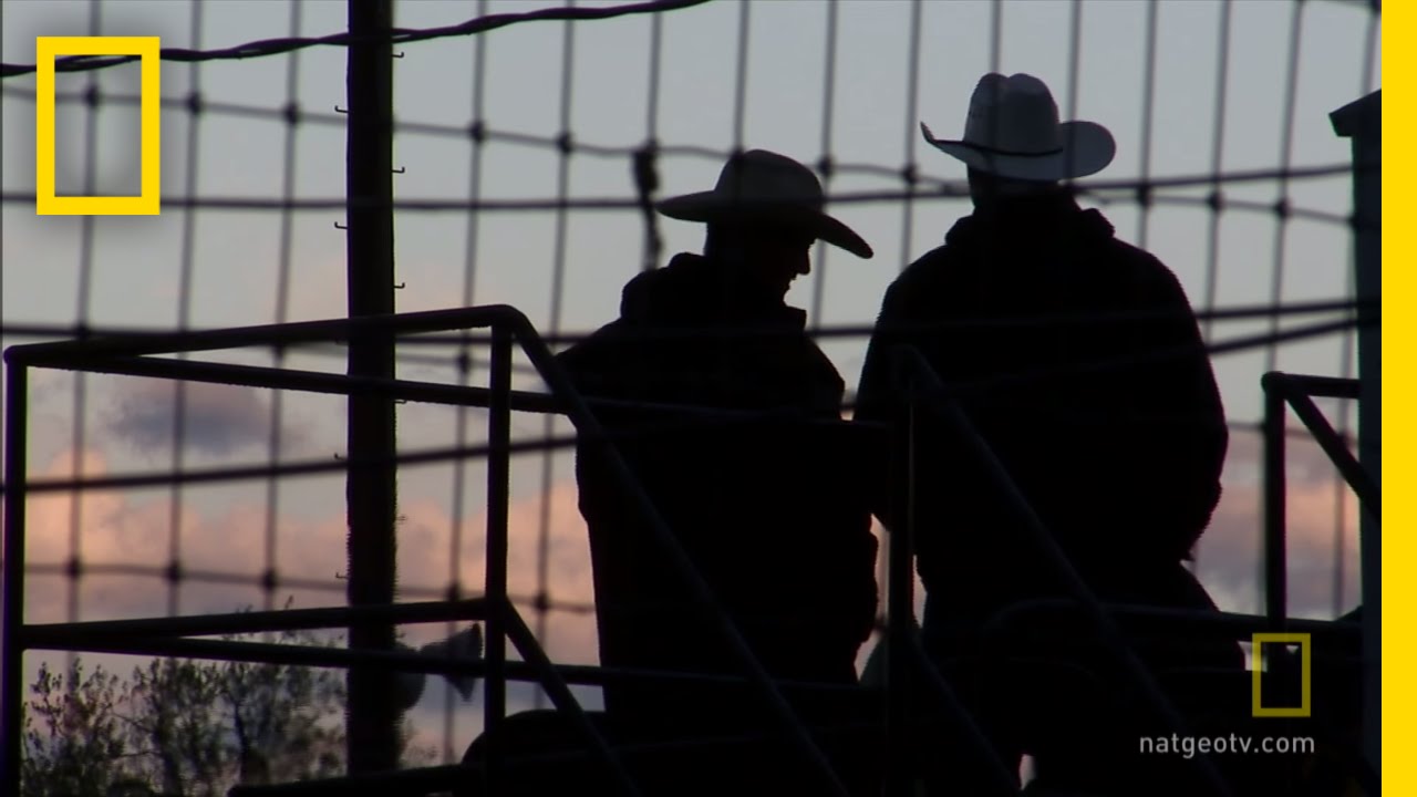 Drunken Cowboy Party | Frontier Force - YouTube