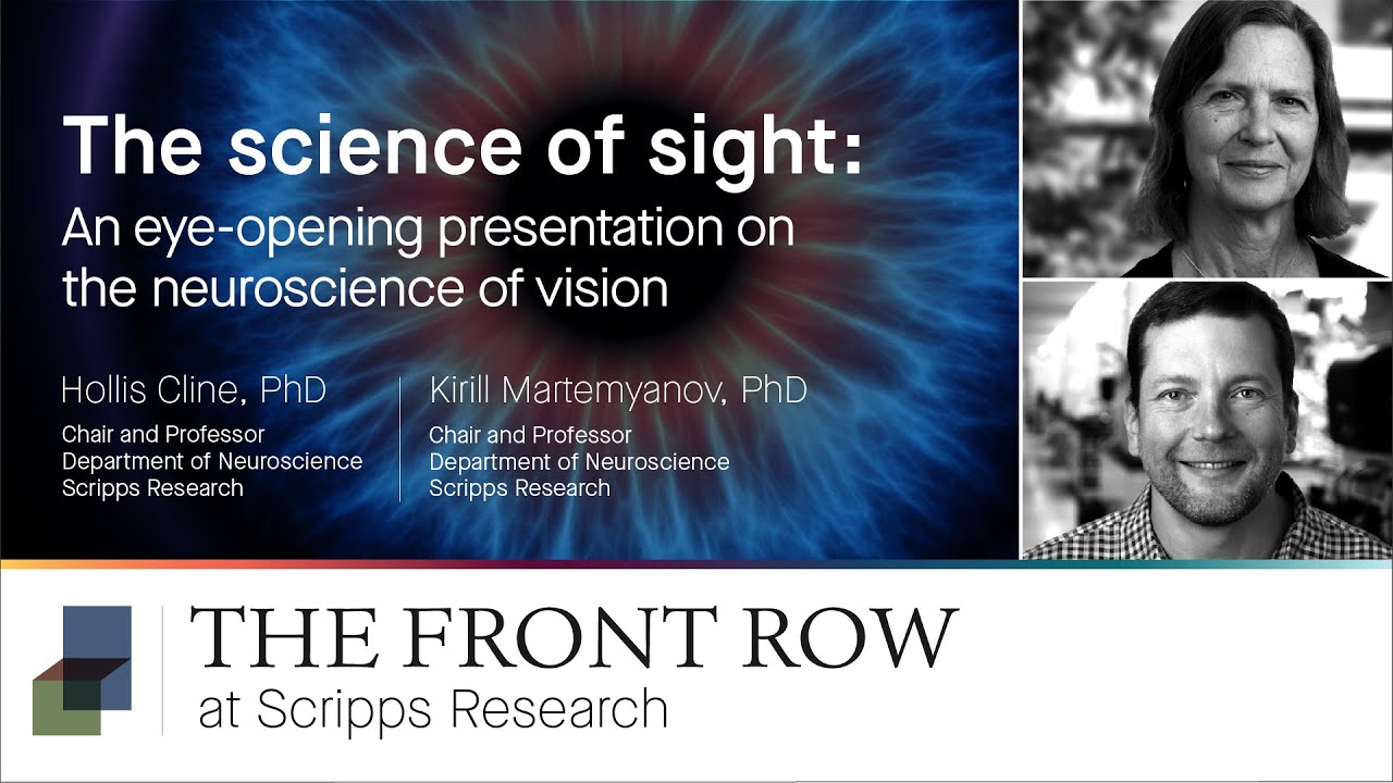 The Science of Sight: An Eye-Opening Presentation on the Neuroscience ...