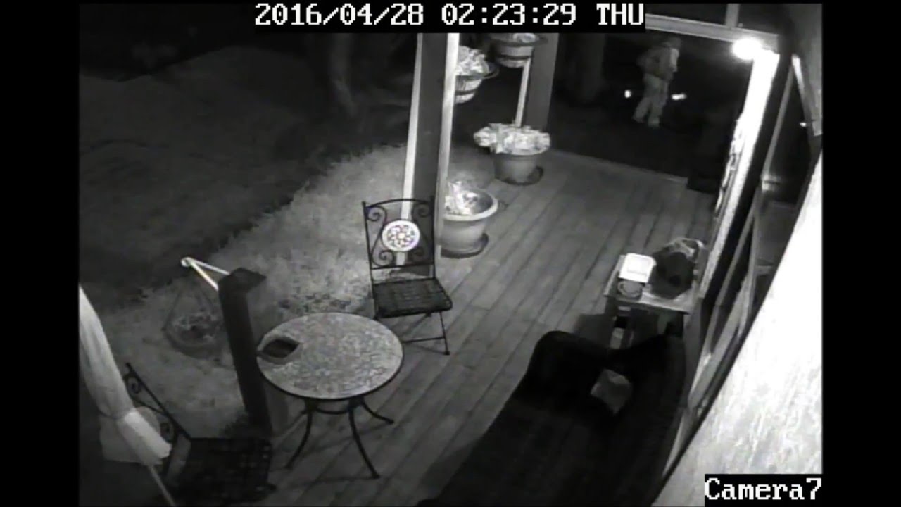 Some Strange Creeper Hiding in my Yard In Chilliwack BC - YouTube