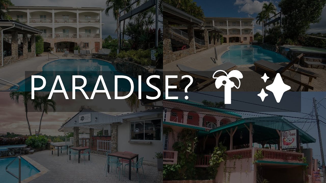 lazy parrot inn rincon puerto rico puerto rico - YouTube