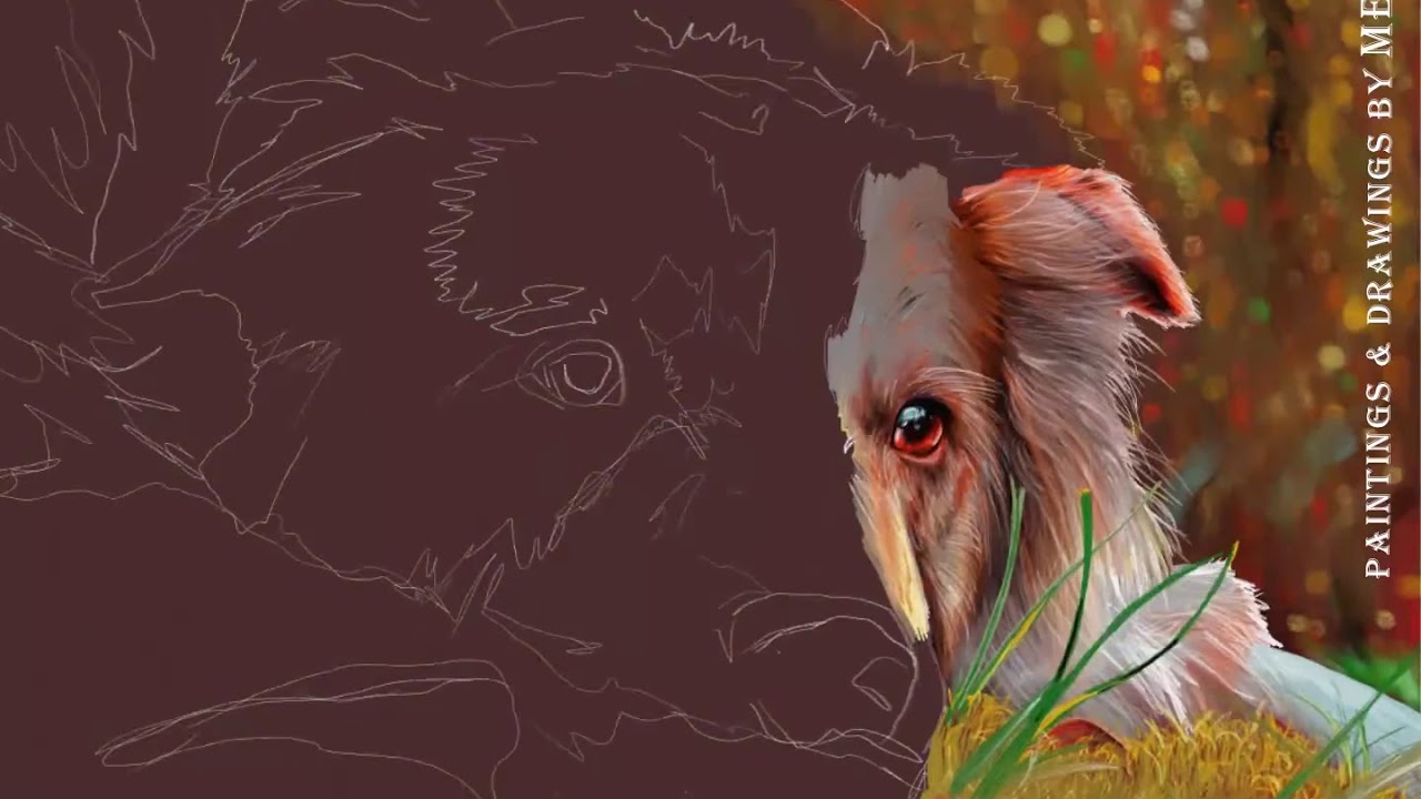 Digital painting dog adobe fresco - YouTube