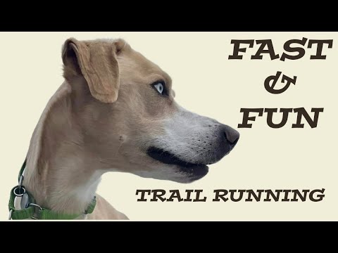 FAST & FUN Trail Running with BLU - YouTube