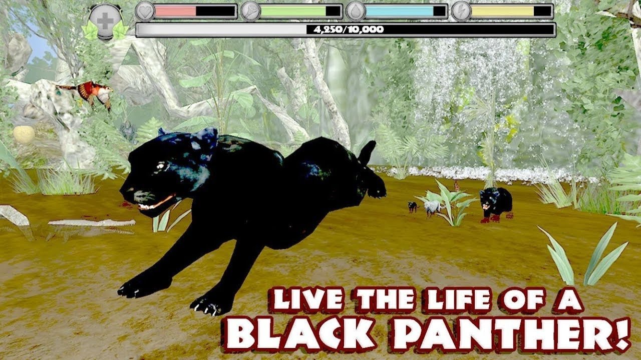 Black Panther Jungle Simulator - YouTube
