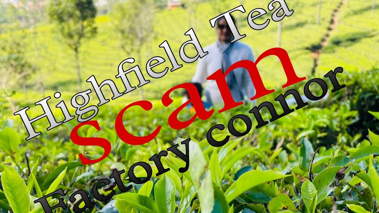 Ooty Ride-2025 | Ep-3| Coonoor 🚫Tea Scam 🚫| Highfield Tea Factory ...
