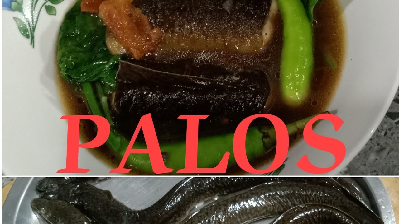 PALOS / EEL #pagkaingprobinsya #pinoyfood #bicolsbest #pulutan # ...