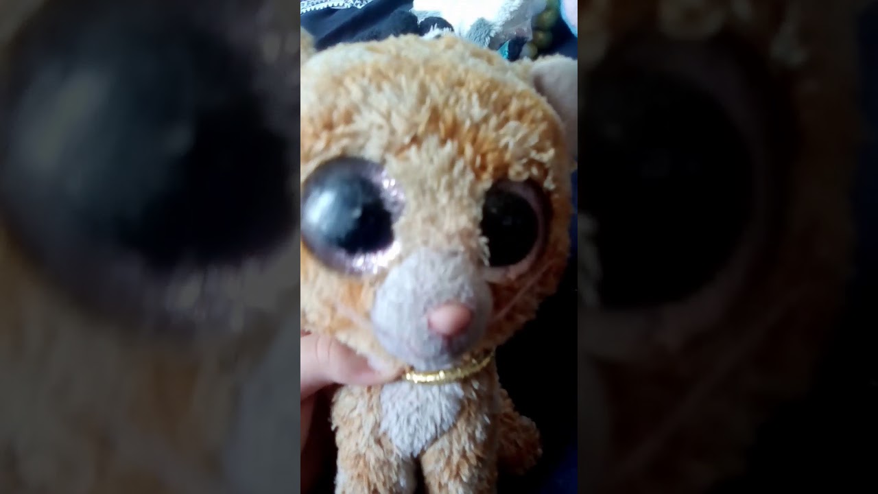 Beanie boo sad song - YouTube