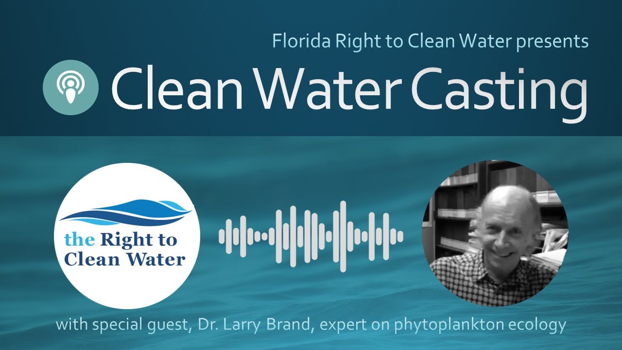 Dr. Larry Brand, a foremost expert on algae blooms in Florida - YouTube