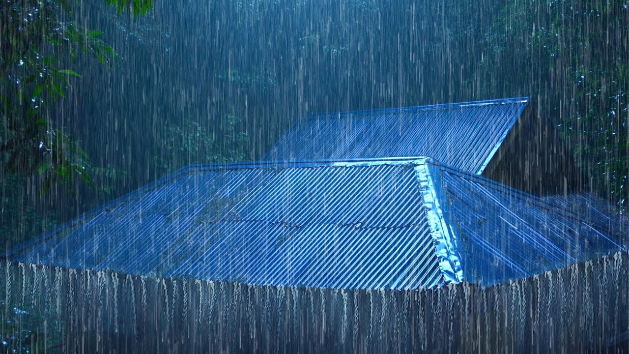Pluie Douce en Forêt - Son de la pluie pour Sommeil, Relaxation ...