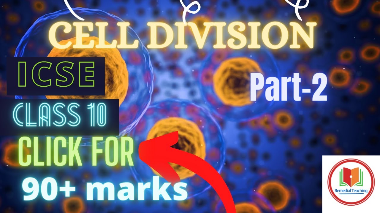 Cell division Class 10 ICSE part 2 || Important points covered deeply ...