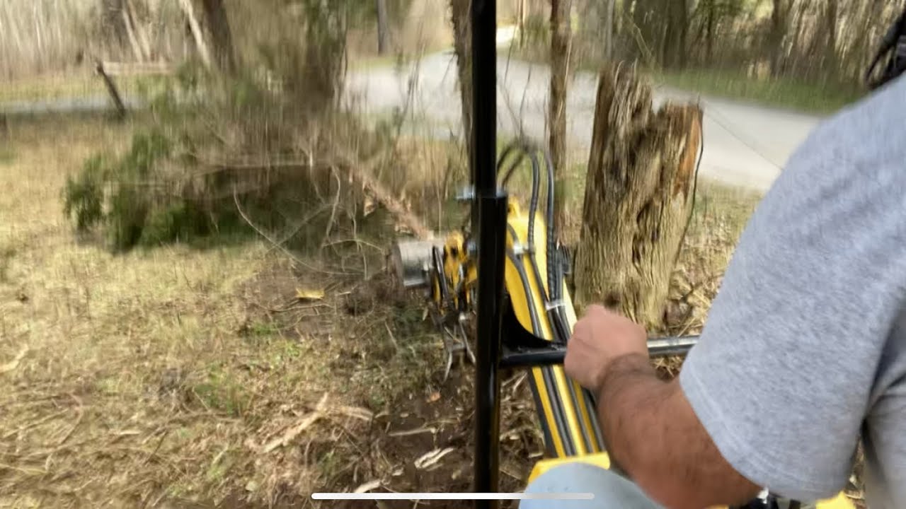 Groundhog tearing down trees a lot to clear - YouTube