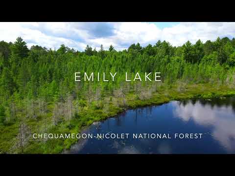 Emily Lake - YouTube