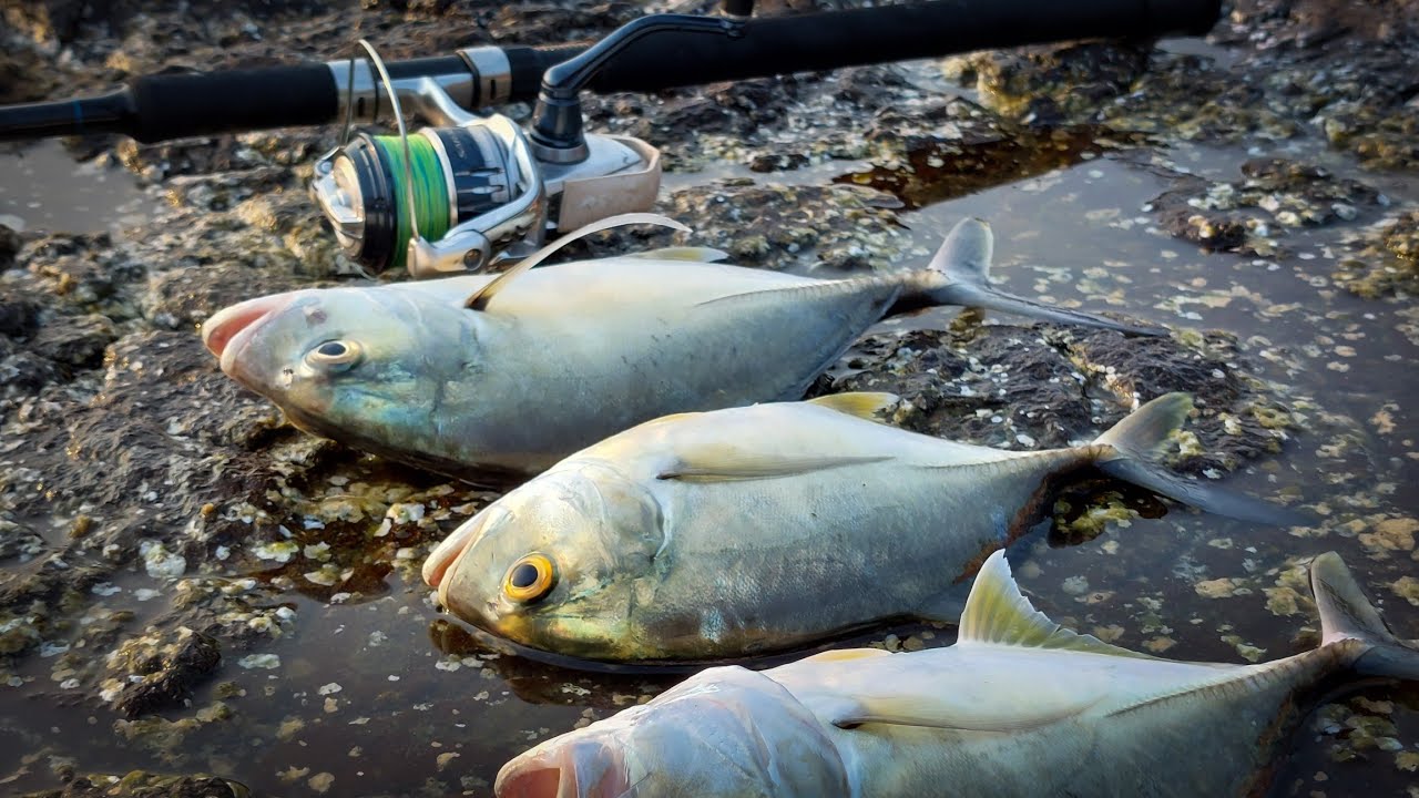 Jigplate कशी वापरावी आणि निळसर खोल समुद्रात केलेली भन्नाट मासेमारी🎣 ...