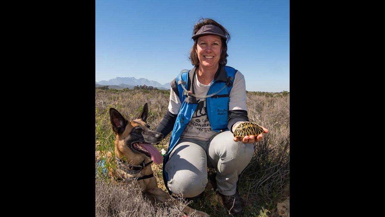 Vicki Hudson - August 27, 2020 #TSA2020 - YouTube