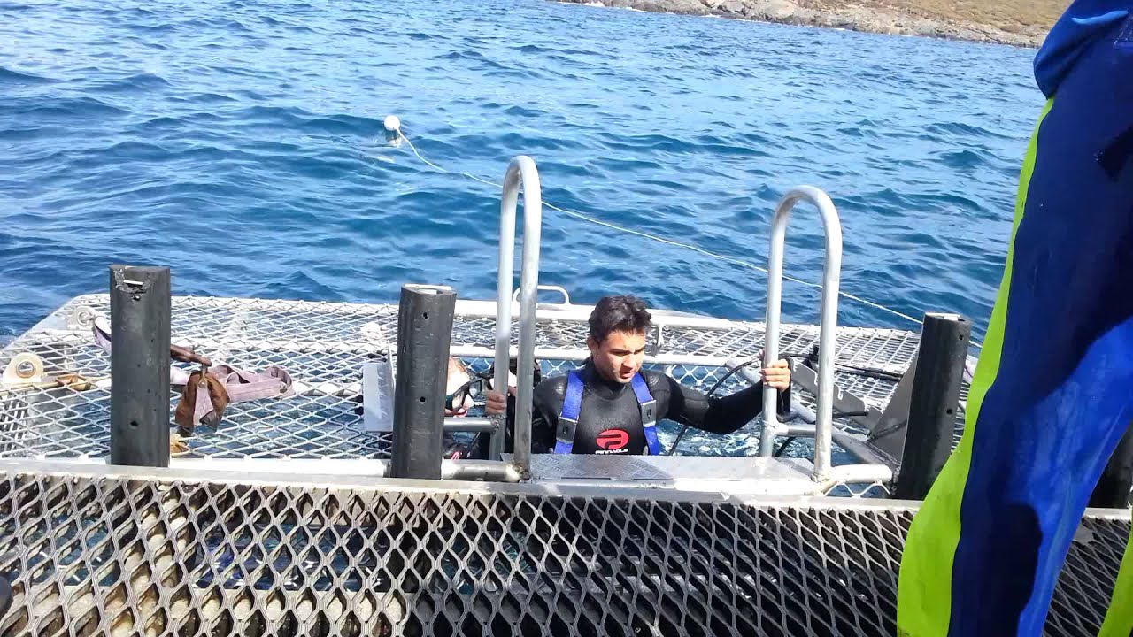 Liam Diving with sharks Port Lincoln - YouTube