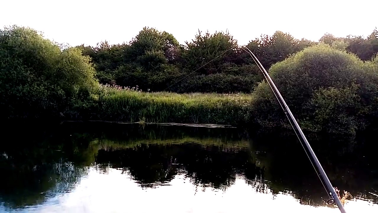 Fishing on the River Tame Tamworth - YouTube