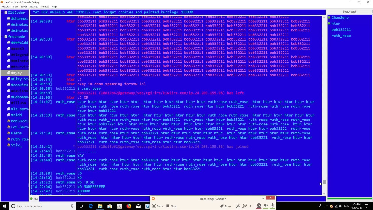 irc chat with bob part 3 - YouTube