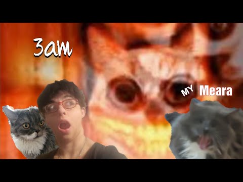 SUMMONING SMILE CAT AT 3AM (MY CAT BELLA HISSED GOOD GIRL!😹) - YouTube