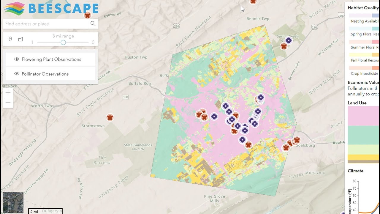 How to Use Beescape - YouTube