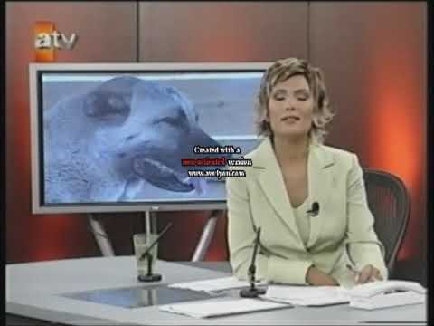 Barış çiçek panter kangallar atv belgeseli 2002