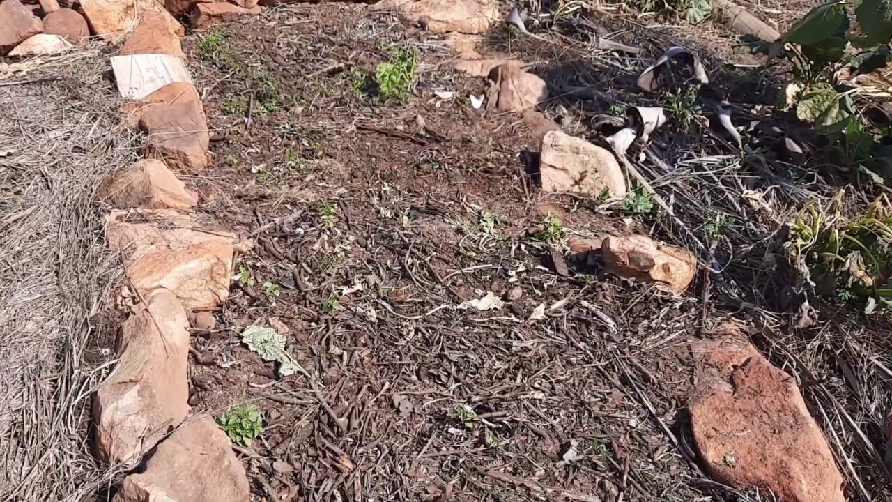 Amanyane Hoenderhok en Groentetuin - YouTube