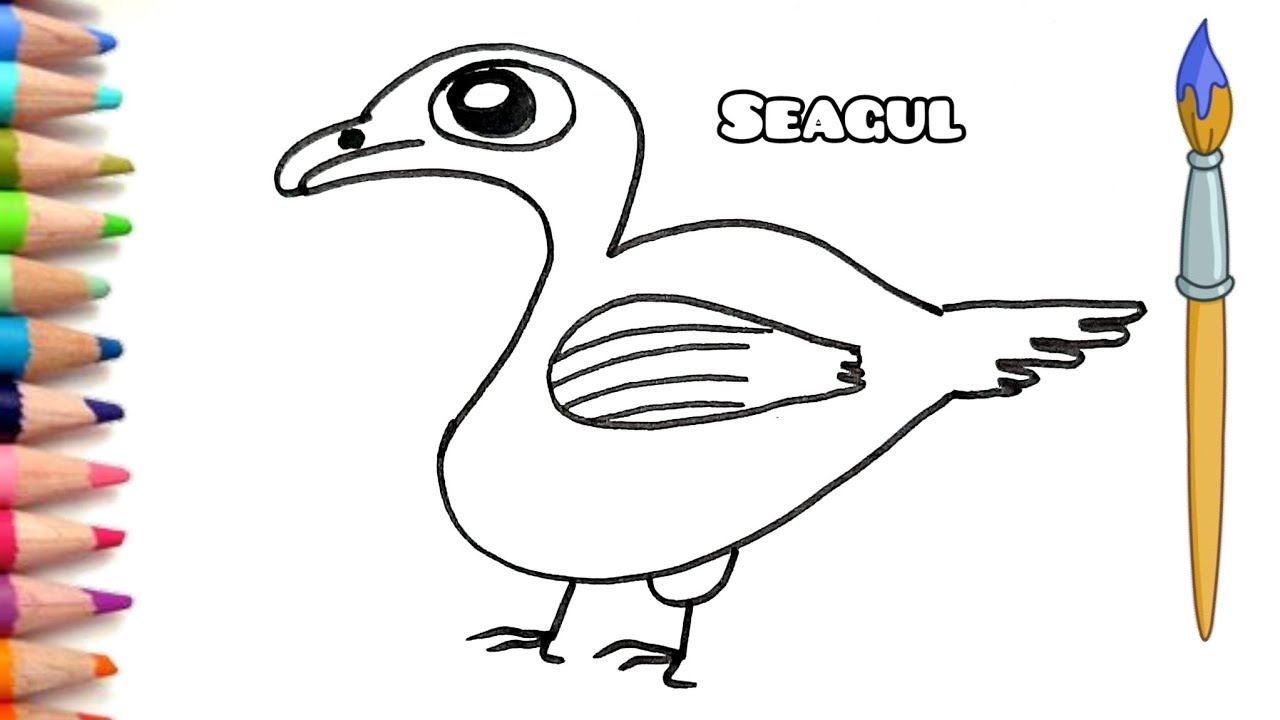 Seagul !! How To Draw A Seagul 🌈 Drawing Lessons, Todler 🍓🥑🌈😙🤫 - YouTube