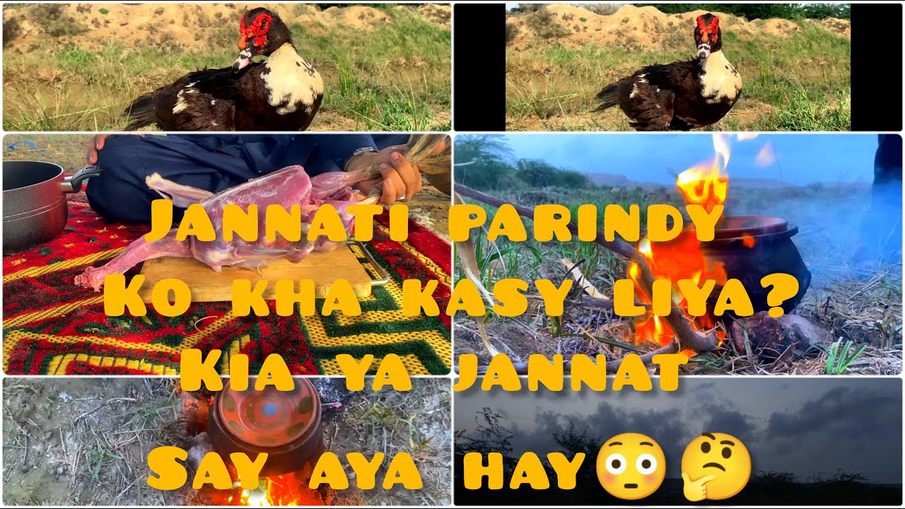 Muscovy Duck Food Recipe | Murgabi battakh village style handi ...