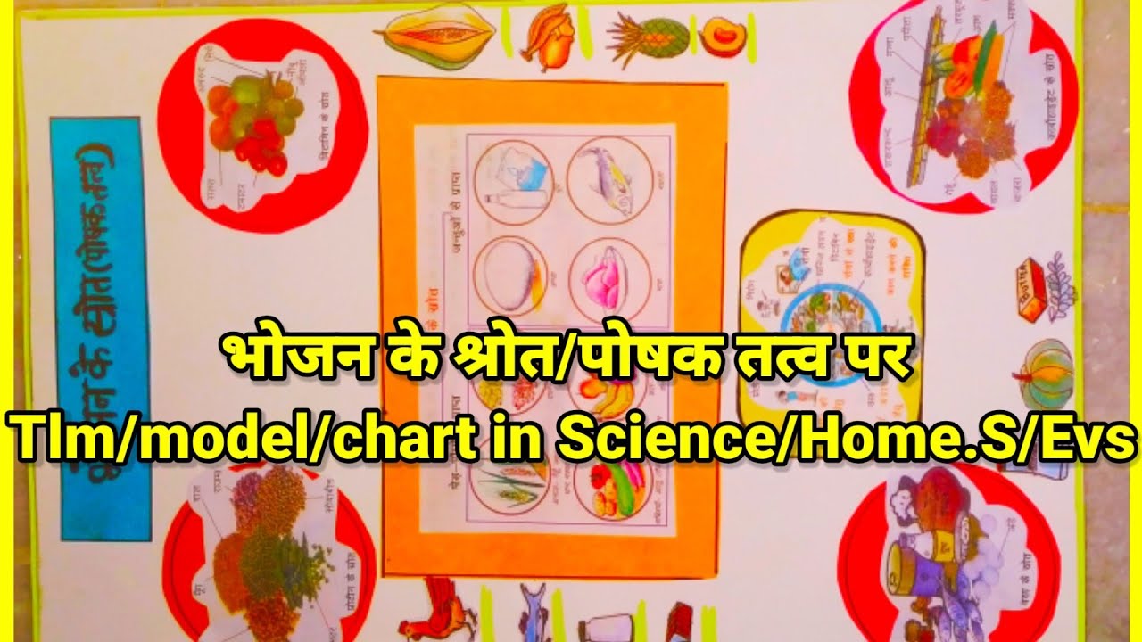 भोजन के स्रोत, /पोषक तत्व पर tlm/chart/model for B.ed/ D.eled/ & others ...