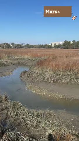 Scenic Walk on Daniel Island: From Pierce Street Pool to Waterfront ...