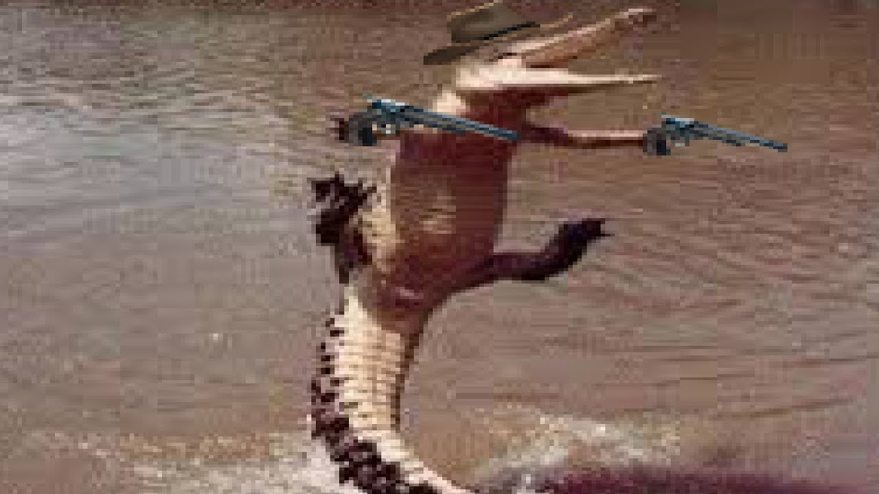 gator legs - YouTube