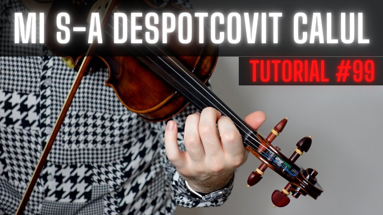 TUTORIAL VIOARA #99 🎻 MI S-A DESPOTCOVIT CALUL by Toni de la Brașov ...