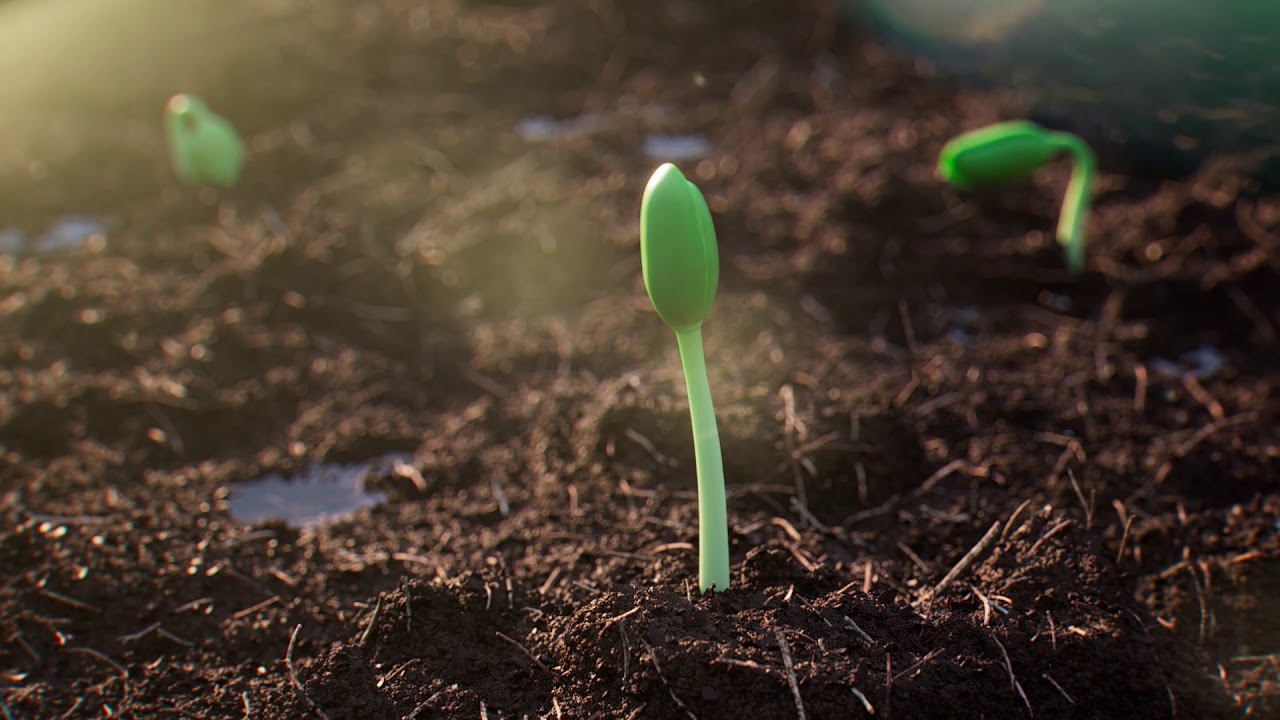 Introducing Brevant Seeds | Brevant Seeds Canada - YouTube