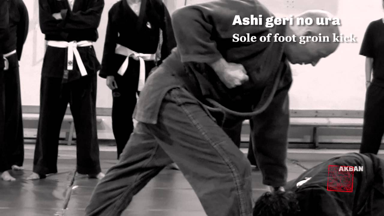 Ninjutsu kicks Interactive - AKBAN Academy - YouTube