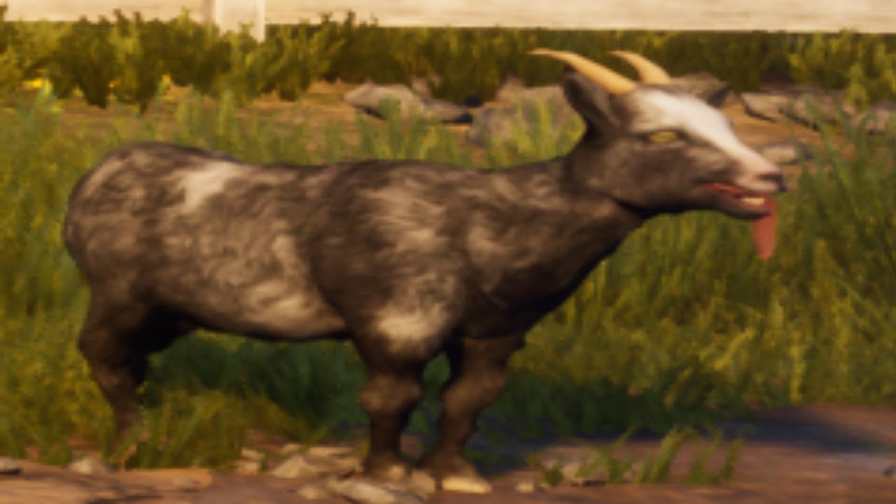 Goat Simulator is off it's Perc - YouTube