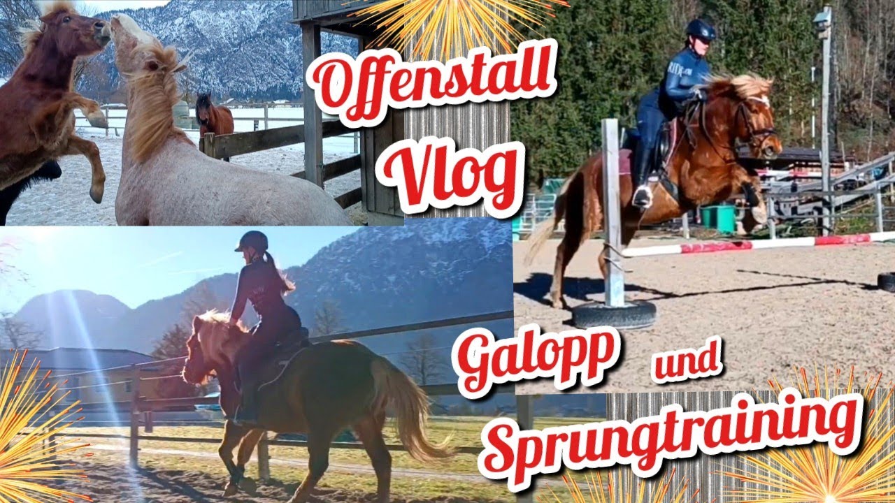 FMA 🤎 Pferde Vlog 🐴 Sprung & Galopptraining 🏡 Stallalltag im Offenstall ...