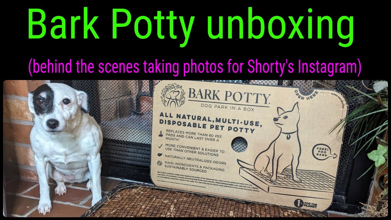 Bark Potty Unboxing (behind the scenes taking photos for Shorty's Instagram) - YouTube