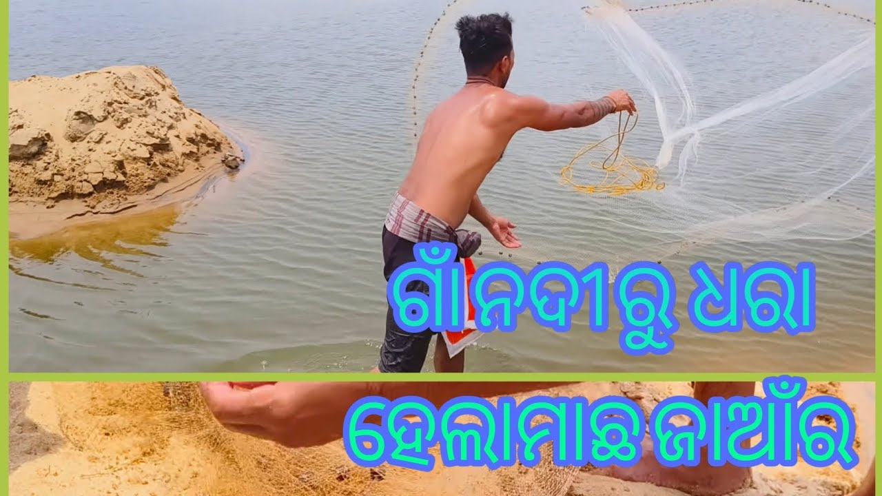 ଗାଁ ନଦୀ ରୁ ଧରିଲୁ ମାଛ ଜାଆଁର //mini vlogs //village vlogs //odia vlogs ...