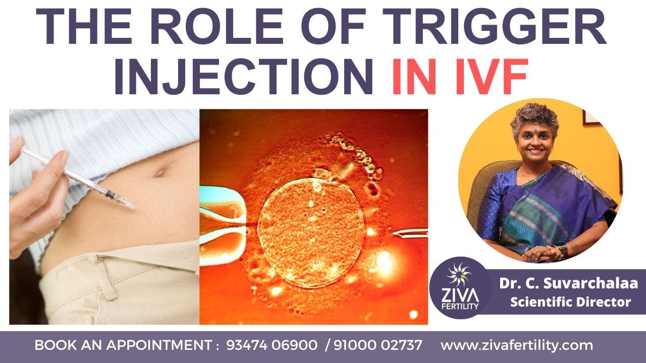 The Role Of Trigger Injection In IVF | IVF Procedure Step by Step | Dr ...