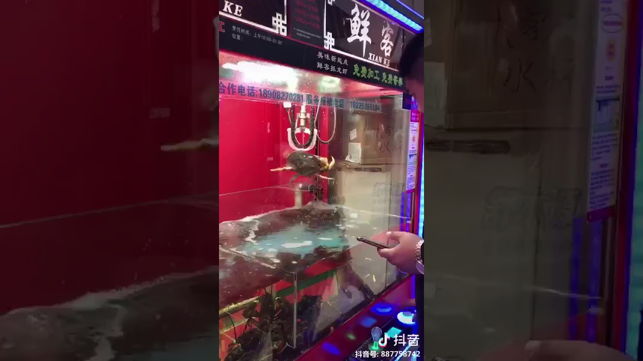 🦀 CRAZY: Claw Machine for Crab in Supermarket #China - YouTube