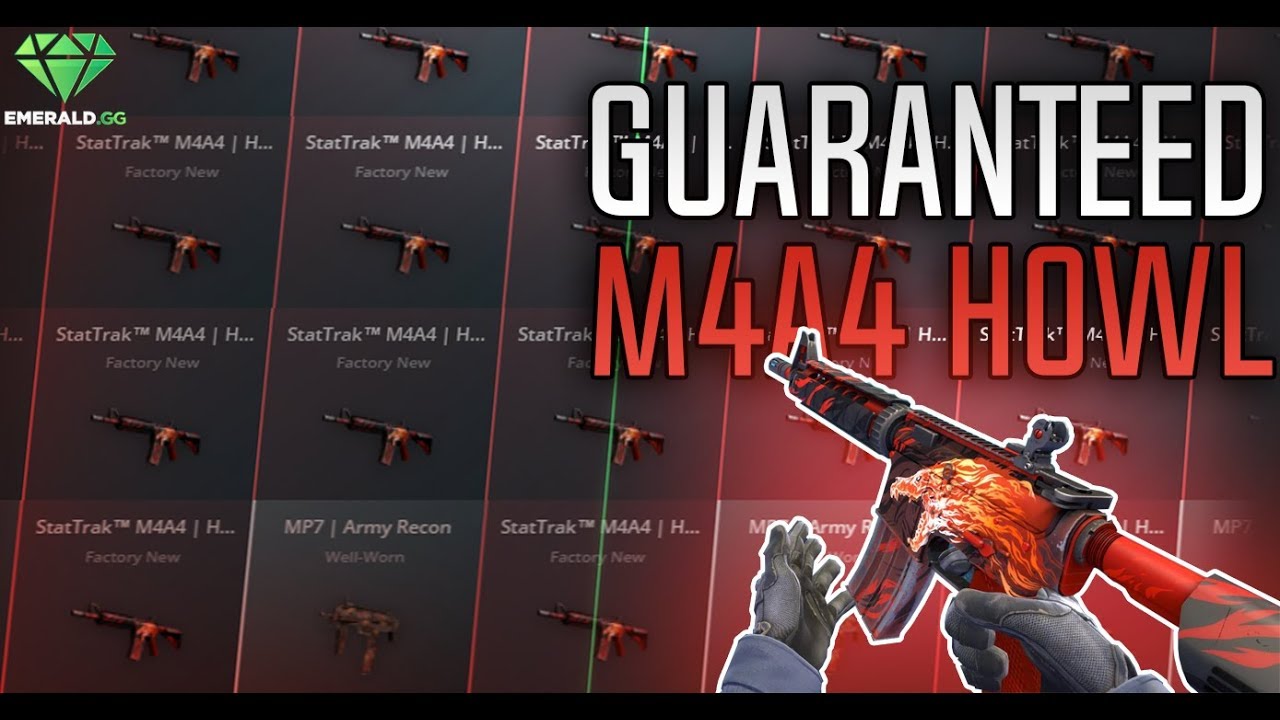 THE GUARANTEED HOWL CASE!?! - YouTube