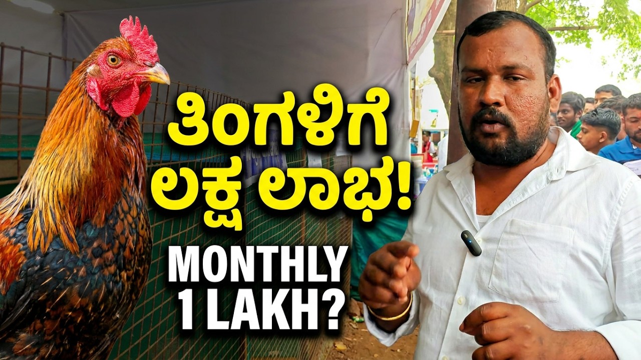 ನಾಟಿ ಕೋಳಿ ಸಾಕಬೇಕಾ ಮೊದಲು ಈ ವೀಡಿಯೊ ನೋಡಿ | how to start nati koli farm in ...