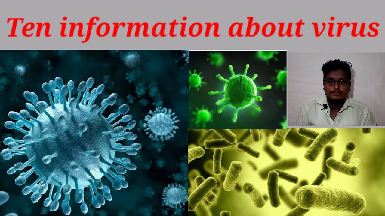 Ten information about virus - YouTube