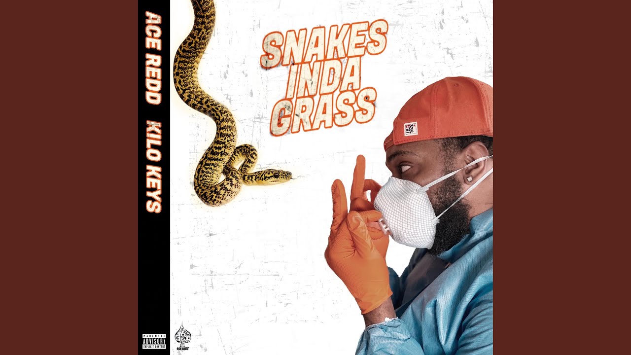 Snakes Inda Grass (feat. Kilo Keys) - YouTube