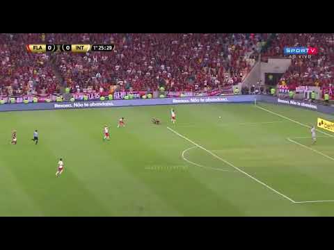 Bruno Henrique do Flamengo 38 Km/h