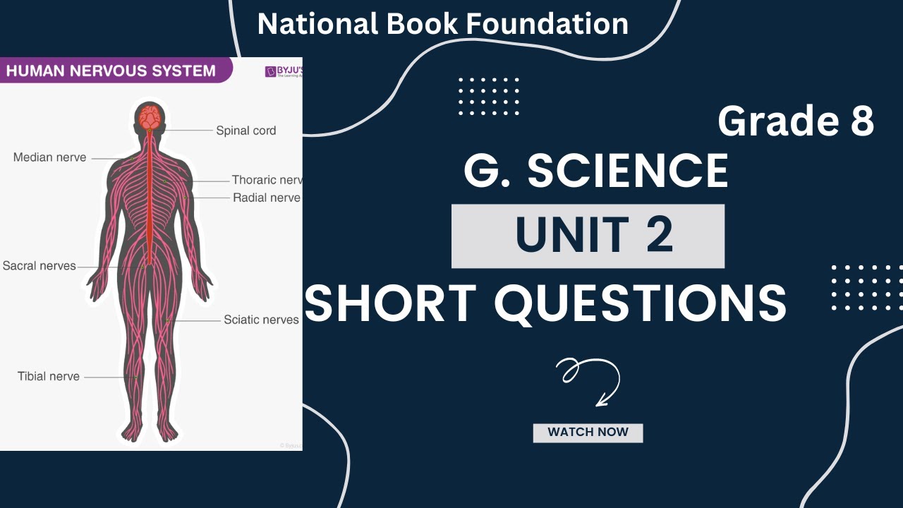 Class 8th G.Sci Unit 2 Exercise Short Q/A - YouTube